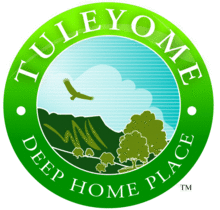 Starry Nights at Conaway Ranch